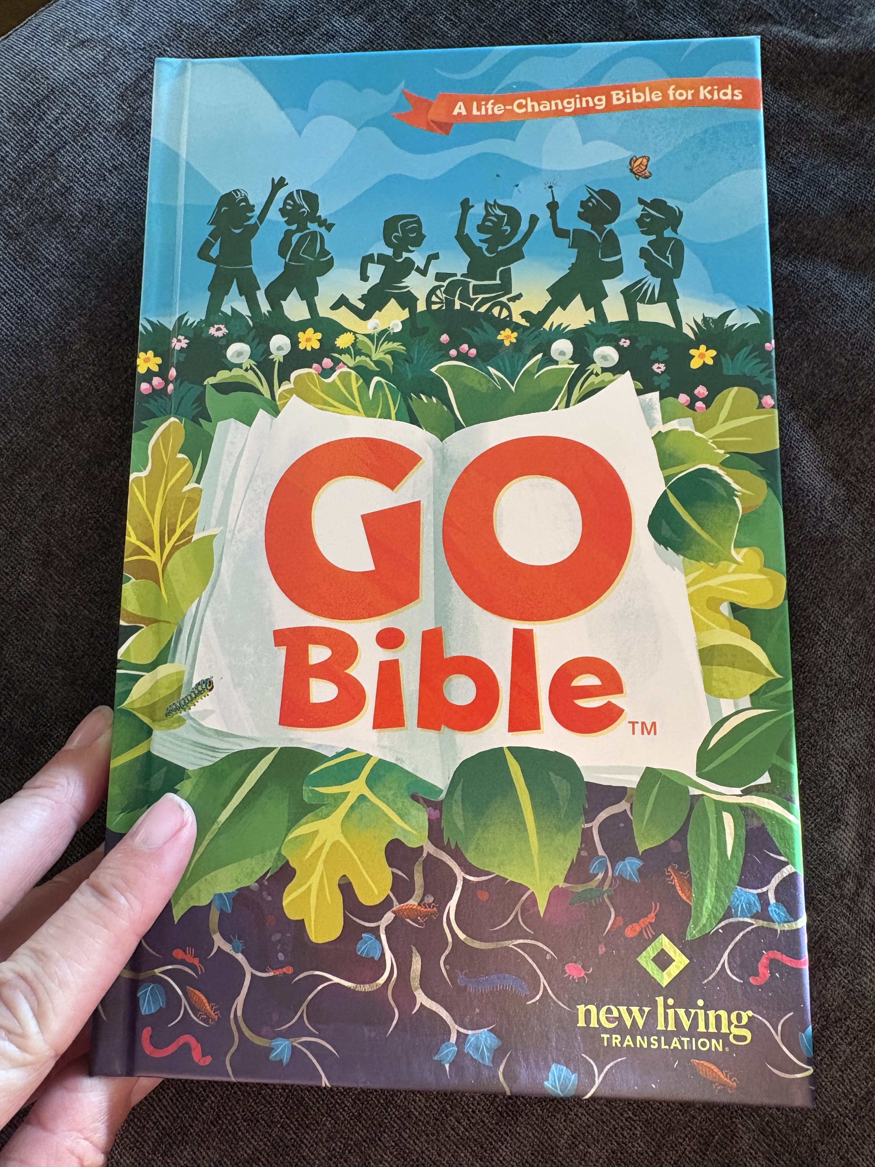 A Review of the Go Bible (New Living Translation) – Tracesoffaith